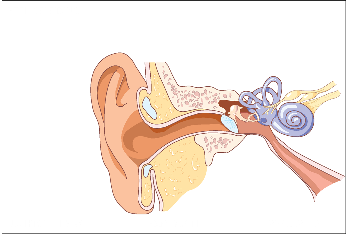 audiometrie